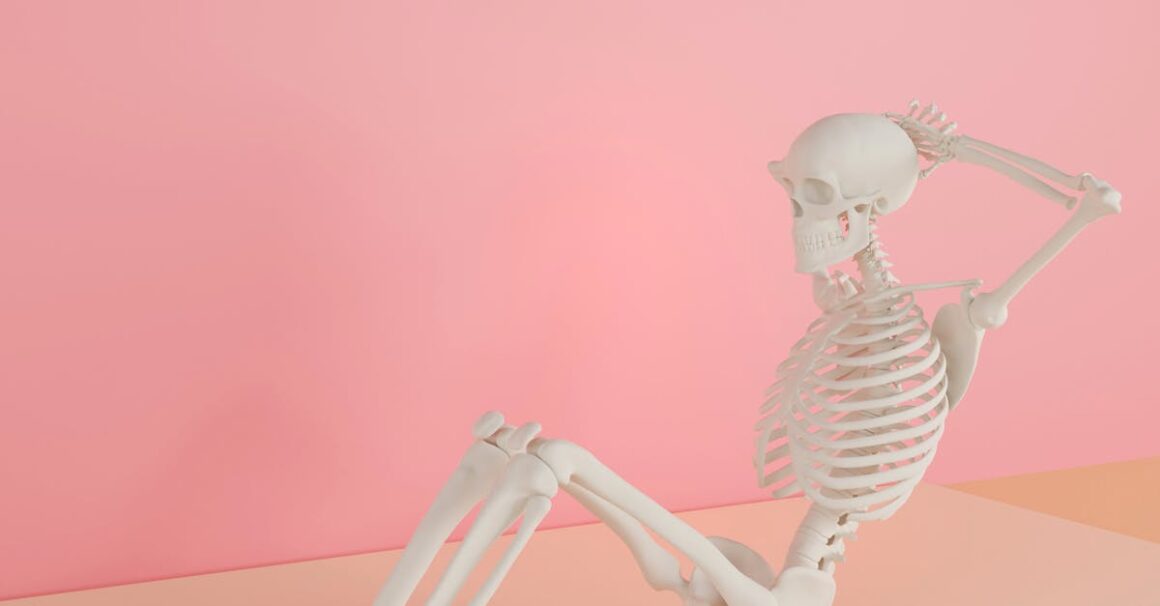 Understanding Biological Fitness in Evolution - Lotsofpower